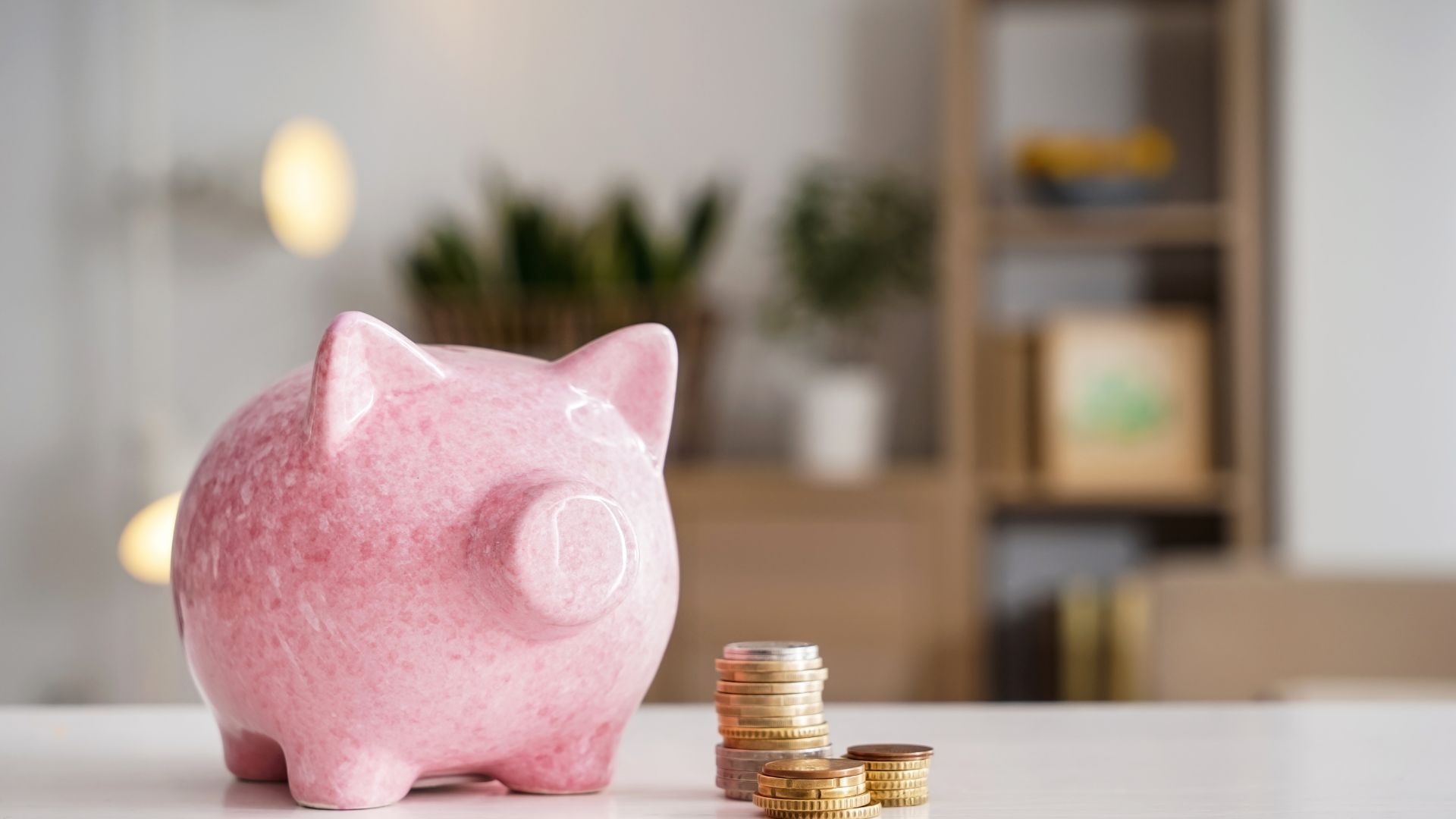 There’s Still Time to Fund an IRA! - LittleOwl CPA 2023 tax deadline